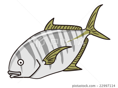 Fish illustration Kokane Shimaji - Stock Illustration [22997114] - PIXTA