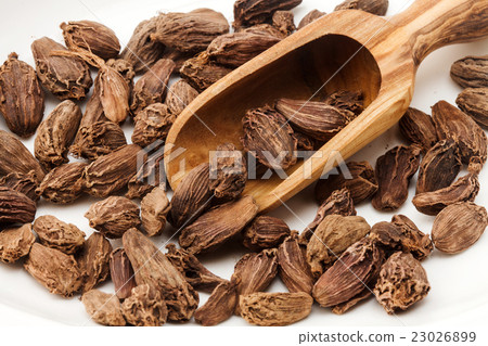 Wild cardamom big cardamon (in - Stock Photo [23026899] - PIXTA