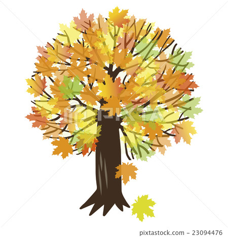 Vector illustration with a maple tree - Stock Illustration [23094476 ...