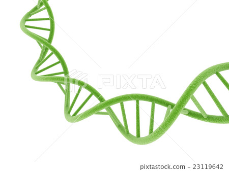 Green DNA - Stock Illustration [23119642] - PIXTA