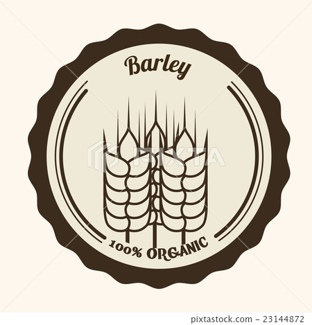 Barley design - Stock Illustration [23144872] - PIXTA