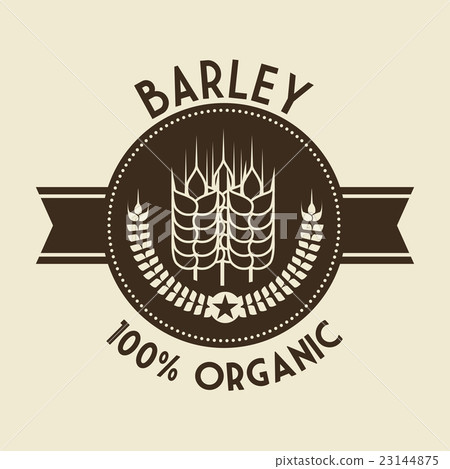 Barley design - Stock Illustration [23144875] - PIXTA