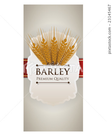 Barley design - Stock Illustration [23145467] - PIXTA