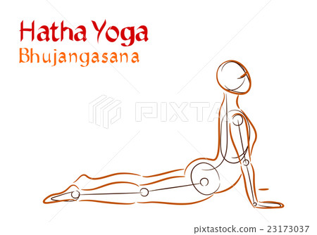 Vector Hatha Yoga Bhujangasana - Stock Illustration [23173037] - PIXTA