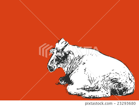 Himalayan Tar [Animal/Series] - Stock Illustration [23293680] - PIXTA