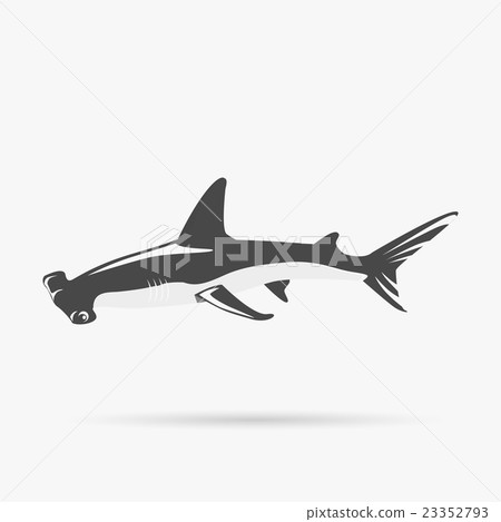 Hammerhead Shark Icon - Stock Illustration [23352793] - PIXTA