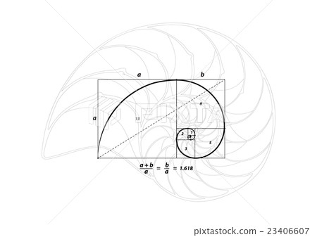 Golden section and shell line on white, vector-插圖素材 [23406607] - PIXTA圖庫