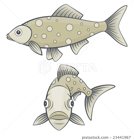 Full face and side view of river or sea fish - Stock Illustration ...