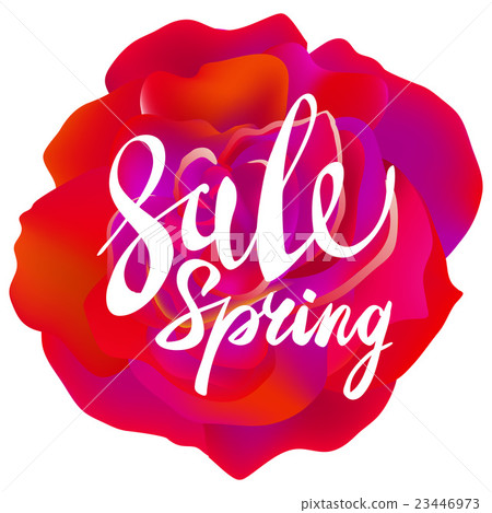 pretty flower red roses. text spring sale - Stock Illustration ...