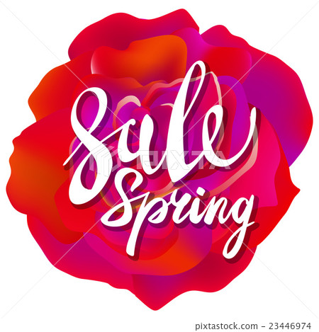 pretty flower red roses. text spring sale - Stock Illustration ...