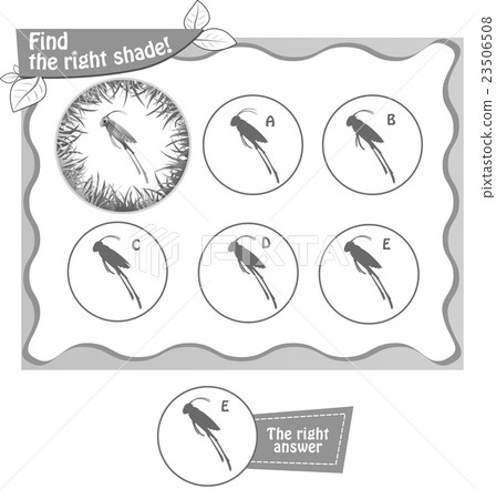 find right shadow grasshopperbv - Stock Illustration [23506508] - PIXTA
