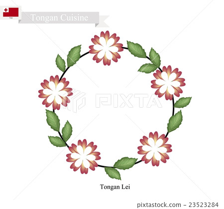 Tongan Lei or Tonga Heilala Flowers Garland - Stock Illustration ...