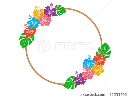 Hibiscus frame (circle) - Stock Illustration [23555793] - PIXTA