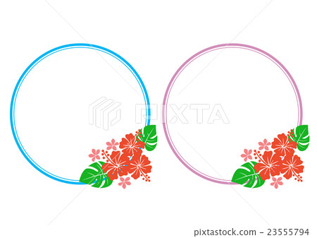 Hibiscus frame (circle) - Stock Illustration [23555794] - PIXTA
