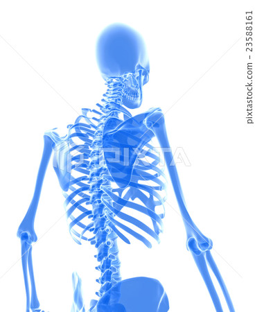 3D illustration of shiny blue skeleton system. - Stock Illustration ...