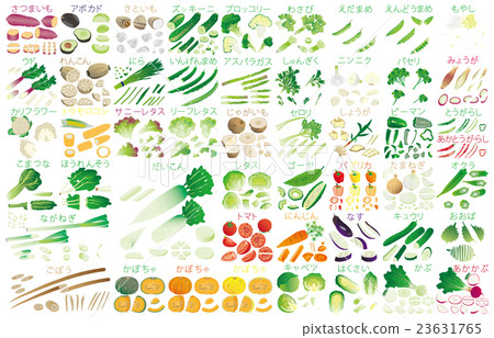 Various cut vegetables name - Stock Illustration [23631765] - PIXTA