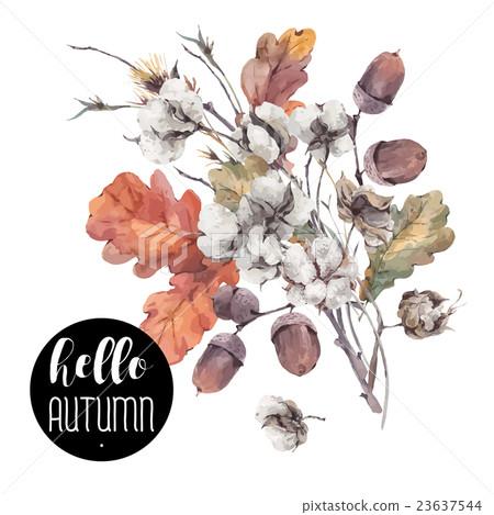Autumn vector vintage cotton flower - Stock Illustration [23637544] - PIXTA