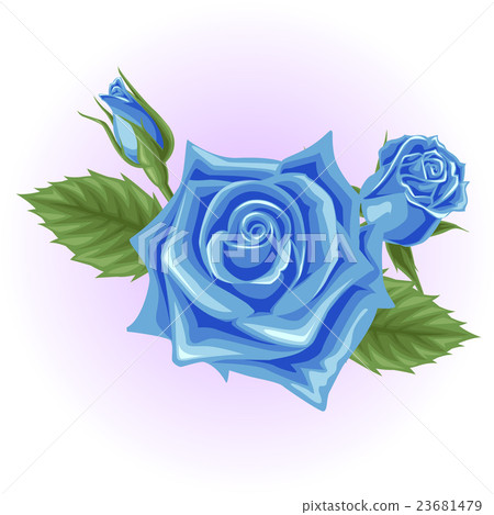 blue rose flower illustration vector - Stock Illustration [23681479 ...
