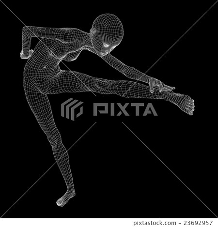 Women's body wire frame perming3DCG... - Stock Illustration [23692957 ...