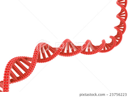 Red DNA - Stock Illustration [23756223] - PIXTA