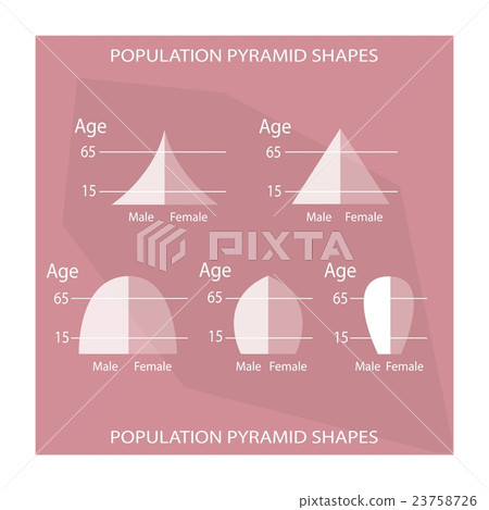 The Different Types of Population Pyramids Charts - Stock Illustration ...