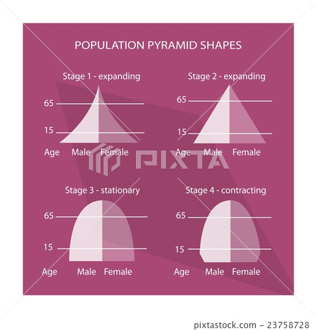 Four Different Types of Population Pyramids Charts - Stock Illustration ...