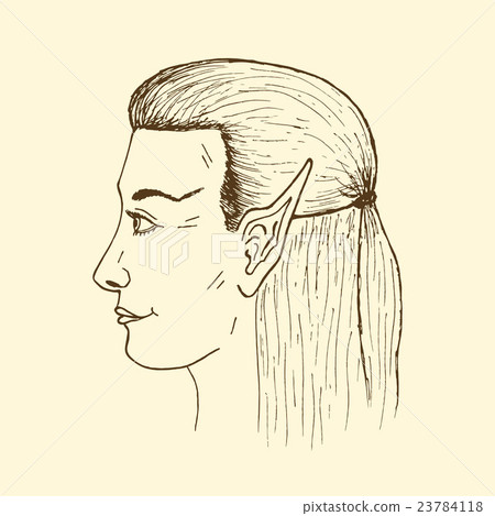 Profile of young elf. Vector hand drawn elf's face-插圖素材 [23784118 ...