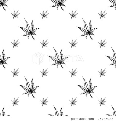 Seamless pattern Cannabis Leaf black on white - Stock Illustration ...