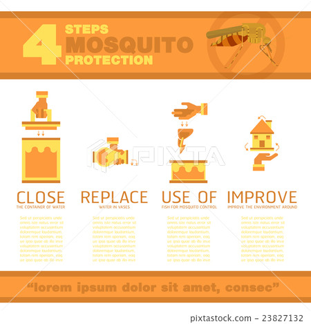 4 Steps Mosquito Protection Infographic. - Stock Illustration [23827132 ...