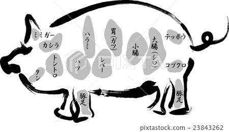 Name of internal organs of pork - Stock Illustration [23843262] - PIXTA