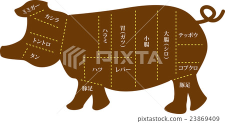 Name of internal organs of pork - Stock Illustration [23869409] - PIXTA