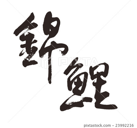 Nishikigoi - Stock Illustration [23992216] - PIXTA