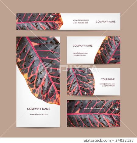 Business cards design, leaf texture-插圖素材 [24022183] - PIXTA圖庫