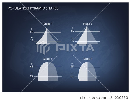 Four Types of Population Pyramids - Stock Illustration [24030580] - PIXTA