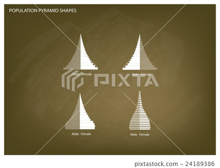 The 4 Types of Population Pyramids Graphs - Stock Illustration ...