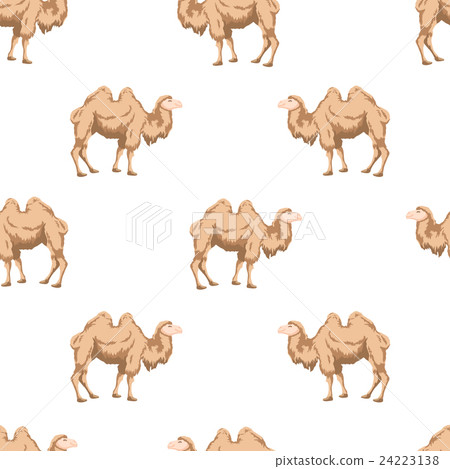 Seamless pattern of camels - Stock Illustration [24223138] - PIXTA