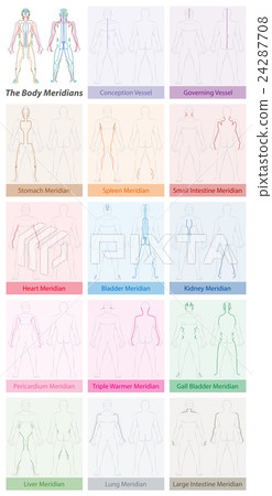 Body Meridians Names TCM - Stock Illustration [24287708] - PIXTA
