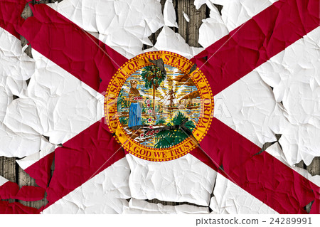 Split flag of Florida flag closeup texture... - Stock Illustration ...