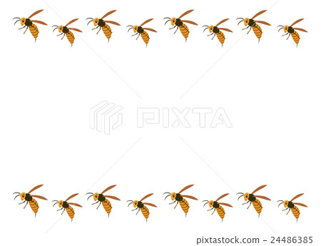 Wasp frame - Stock Illustration [24486385] - PIXTA