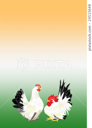 New year's rooster Chabo match - Stock Illustration [24515649] - PIXTA