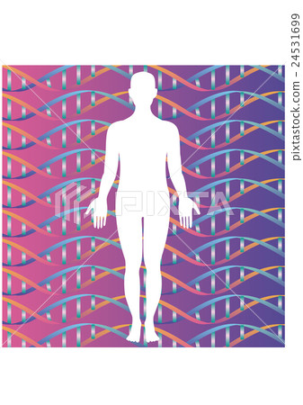 Double spiral structure pattern in human body... - Stock Illustration ...