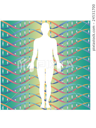 Double spiral structure pattern in human body... - Stock Illustration ...