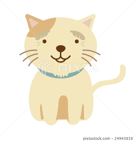 Cat pet aging - Stock Illustration [24943819] - PIXTA