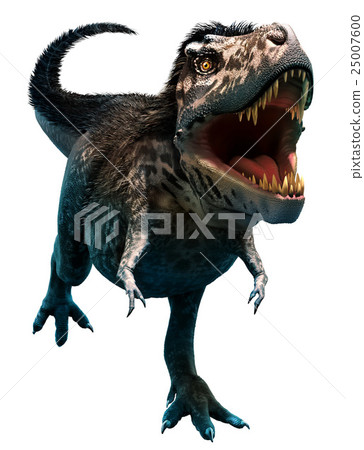 Tyrannosaurus rex - Stock Illustration [25007600] - PIXTA