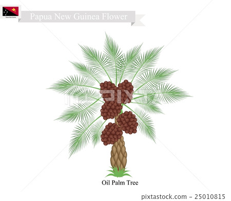 Coconut Tree, A Native Tree of Papua New Guinea - Stock Illustration ...