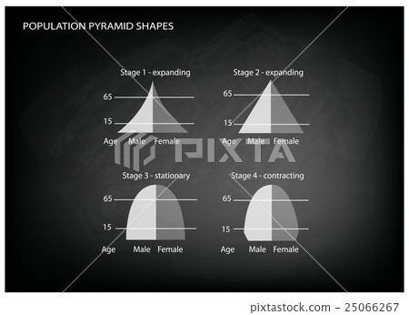 Four Types of Population Pyramids - Stock Illustration [25066267] - PIXTA
