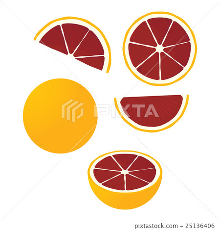 Blood orange collection - Stock Illustration [25136406] - PIXTA