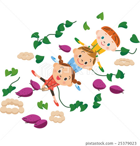Potato digging - Stock Illustration [25379023] - PIXTA