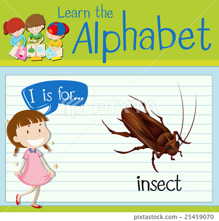 Flashcard letter I is for insect - Stock Illustration [25459070] - PIXTA