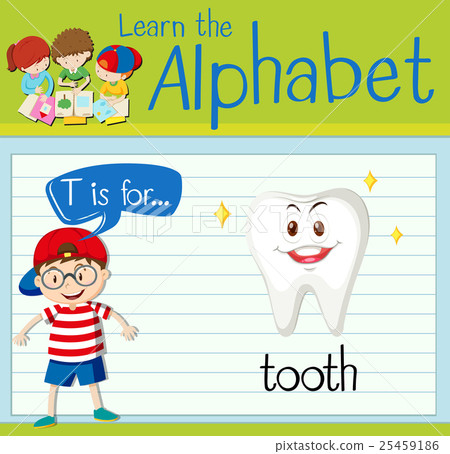 Flashcard letter T is for tooth - Stock Illustration [25459186] - PIXTA